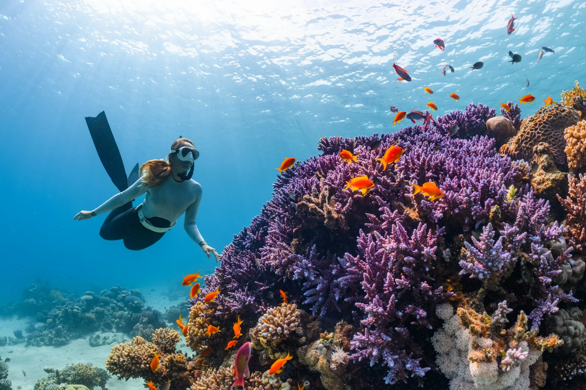Scuba Diving In Egypt: Happy Under Pressure Guide